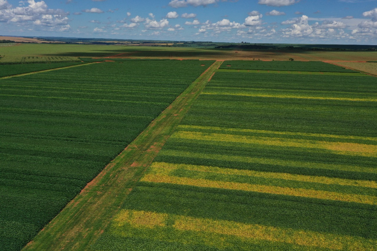 IGA - Instituto Goiano de Agricultura - O IGA visto de cima