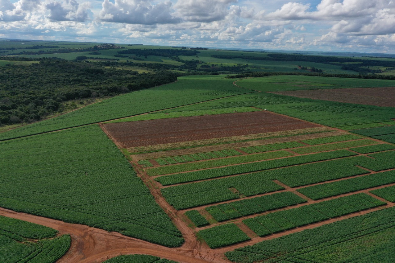 IGA - Instituto Goiano de Agricultura - O IGA visto de cima