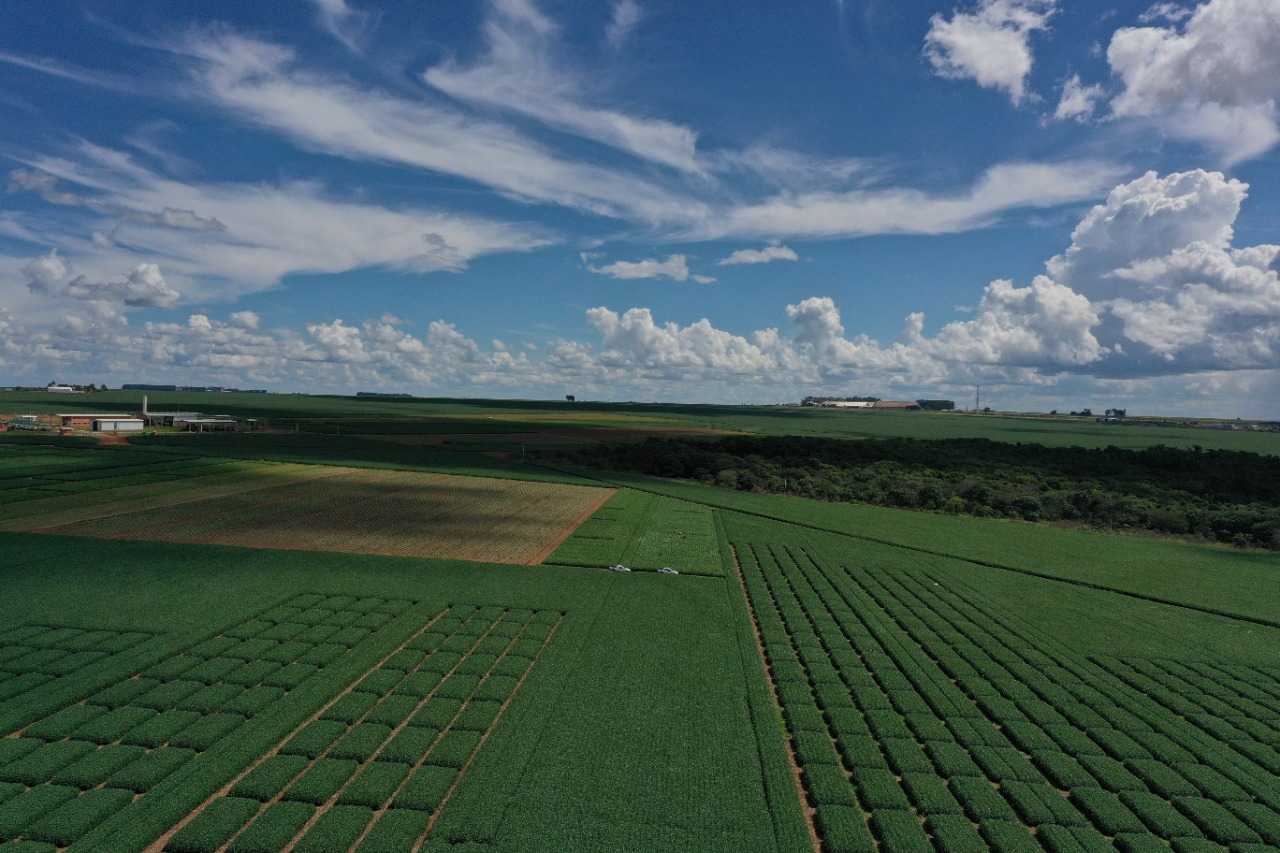 IGA - Instituto Goiano de Agricultura - O IGA visto de cima